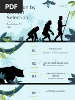 Notes On Evolution | PDF