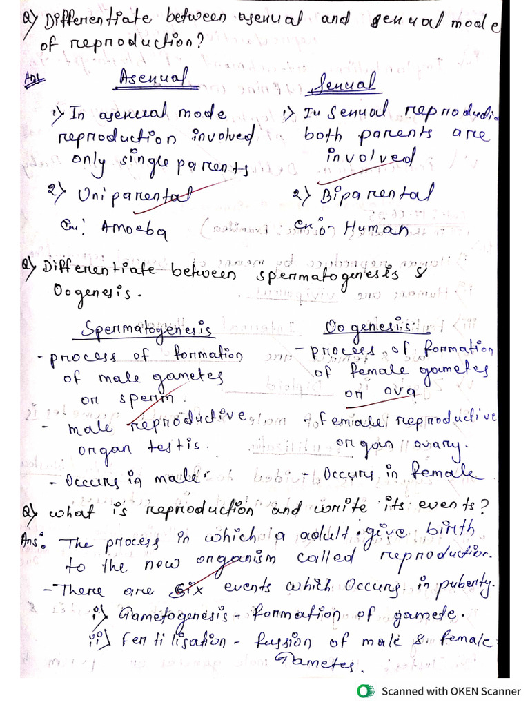 Human Reproduction Part 1 Pdf