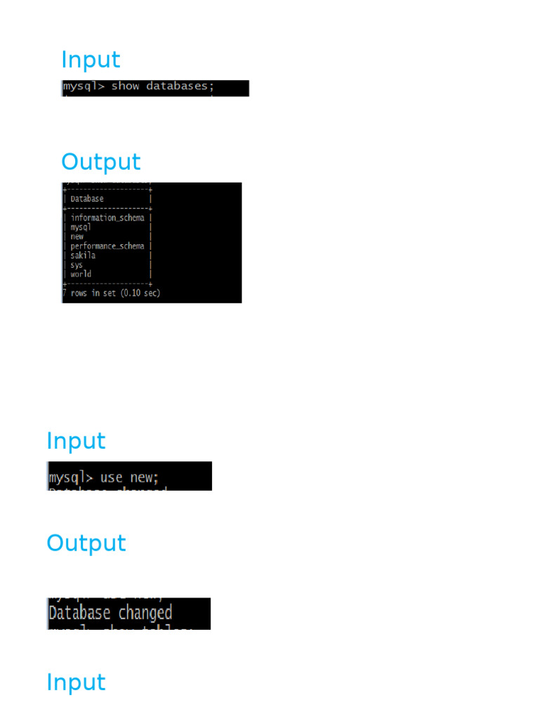 Ip Practical Term 2 | PDF