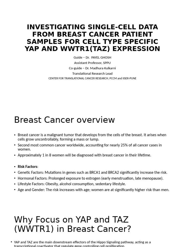 YAP and TAZ in Breast Cancer Analysis | PDF | Cancer | Breast Cancer