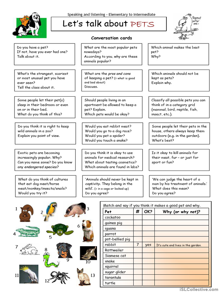 Engaging Pet Discussion Prompts | PDF | Pet | Human–Animal Interaction