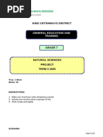 GR 4 NST Project | PDF | String Instruments | Musical Instruments