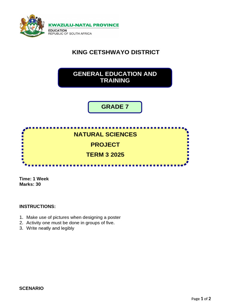 Grade 7 Term 3 Nuclear Energy Project | PDF | Nuclear Power | Coal