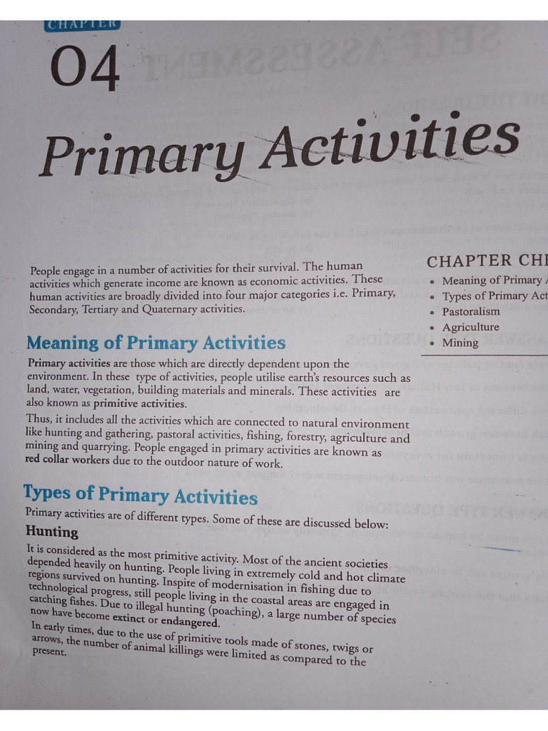 Primary Activities | PDF