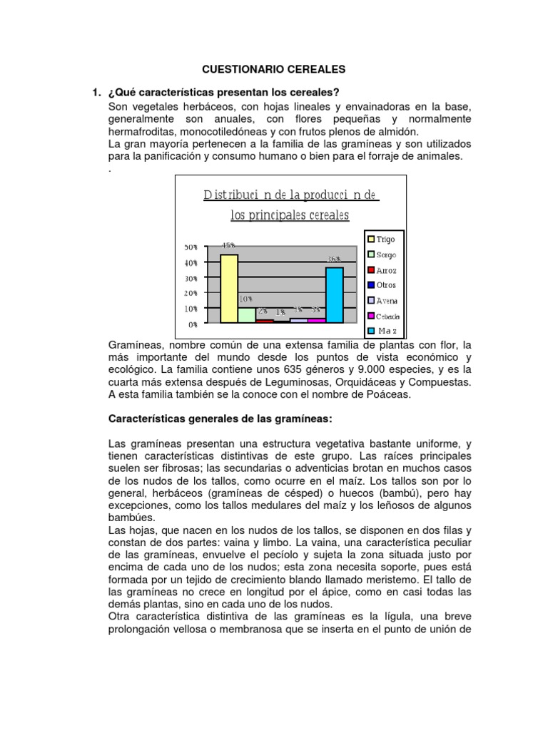 Cuestionario Cereales | PDF | Cereales | Gluten