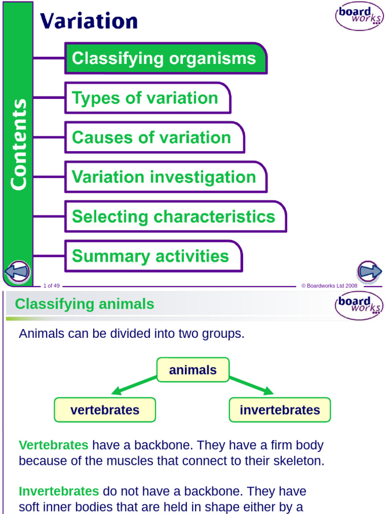 6b. Classification of animals | PDF