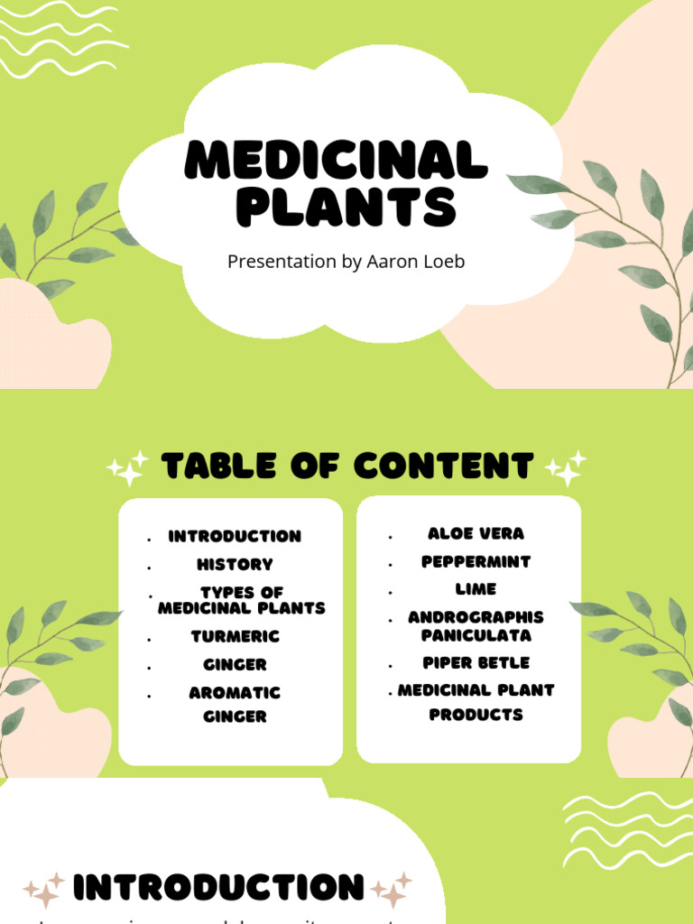 Overview of Medicinal Plants | PDF | Medicinal Herbs And Fungi ...