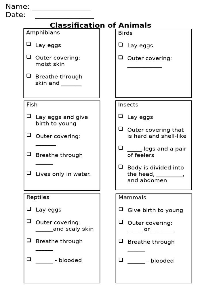 Classification of Animals | PDF