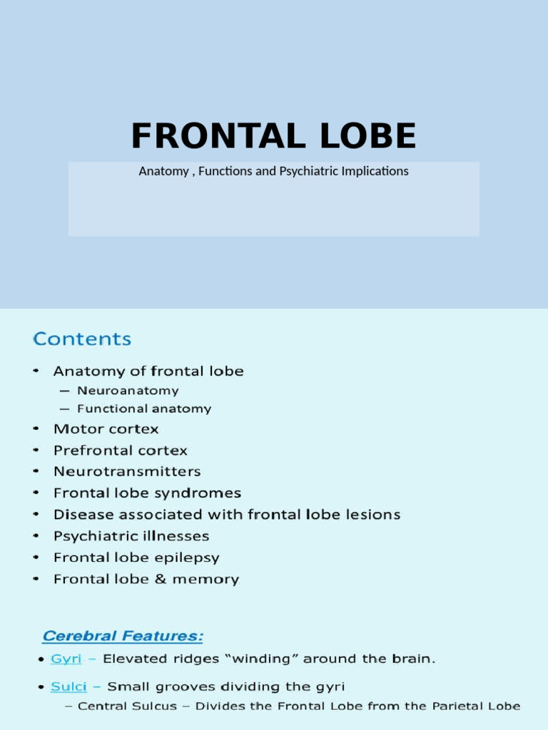 Frontal Lobe | PDF