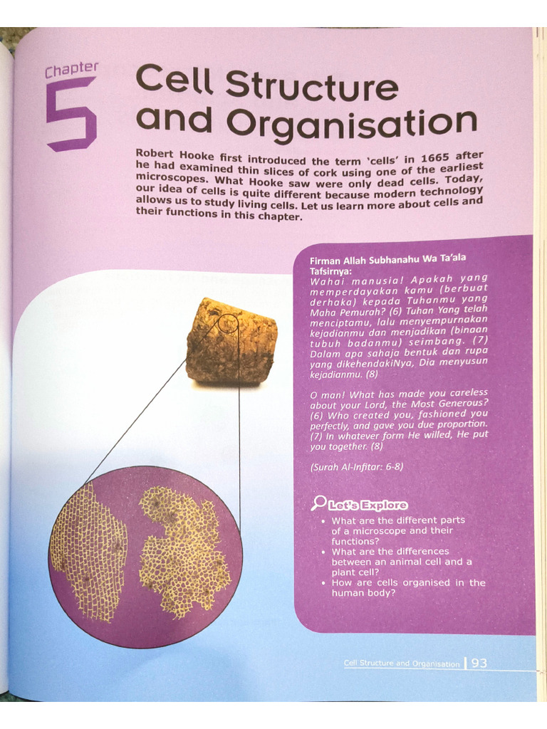 Chapter 5 Science | PDF