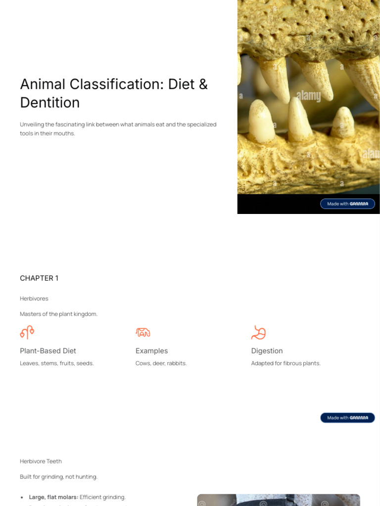 Animal Classification Diet and Dentition | PDF | Tooth | Zoology