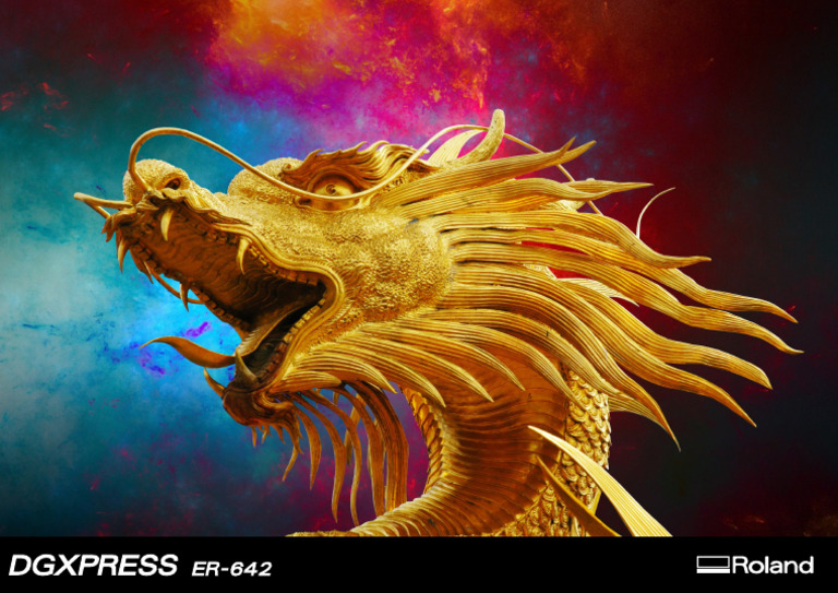 ER-642 Dragon A4 | PDF