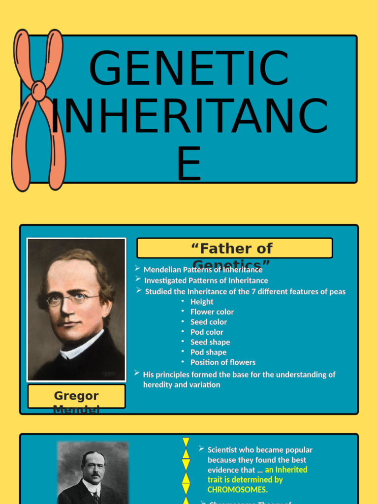 Non Mendelian Patterns of Inheritance | PDF | Dominance (Genetics ...