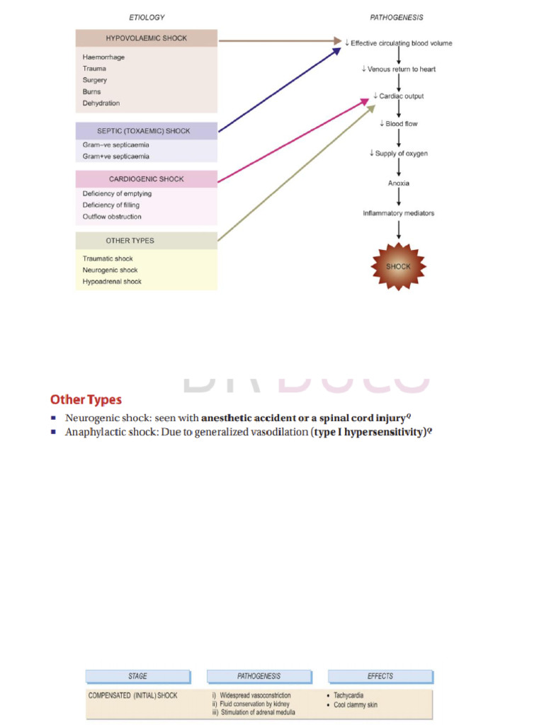 Shock Important Points | PDF