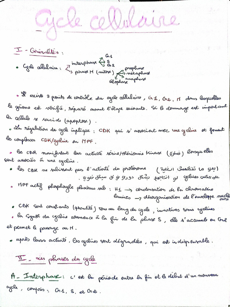 Cycle Cellulaire | PDF