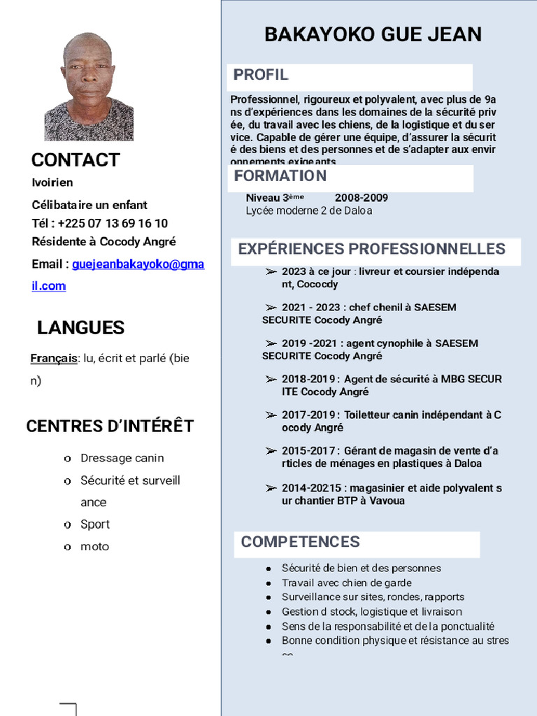 CV Bakayoko Gue Jean - Phoenix | PDF