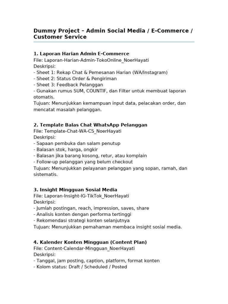 Laporan Administrasi Proyek Dummy | PDF