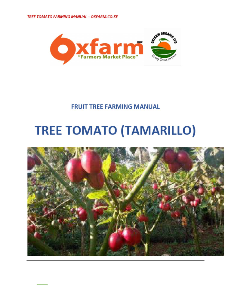 Tree Tomato Farming Guide | PDF | Agriculture | Soil