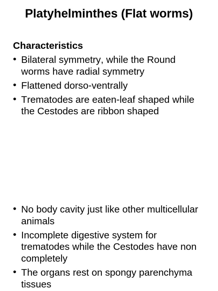 Platyhelminthes (Flat Worms) | PDF | Parasitology | Medical Specialties