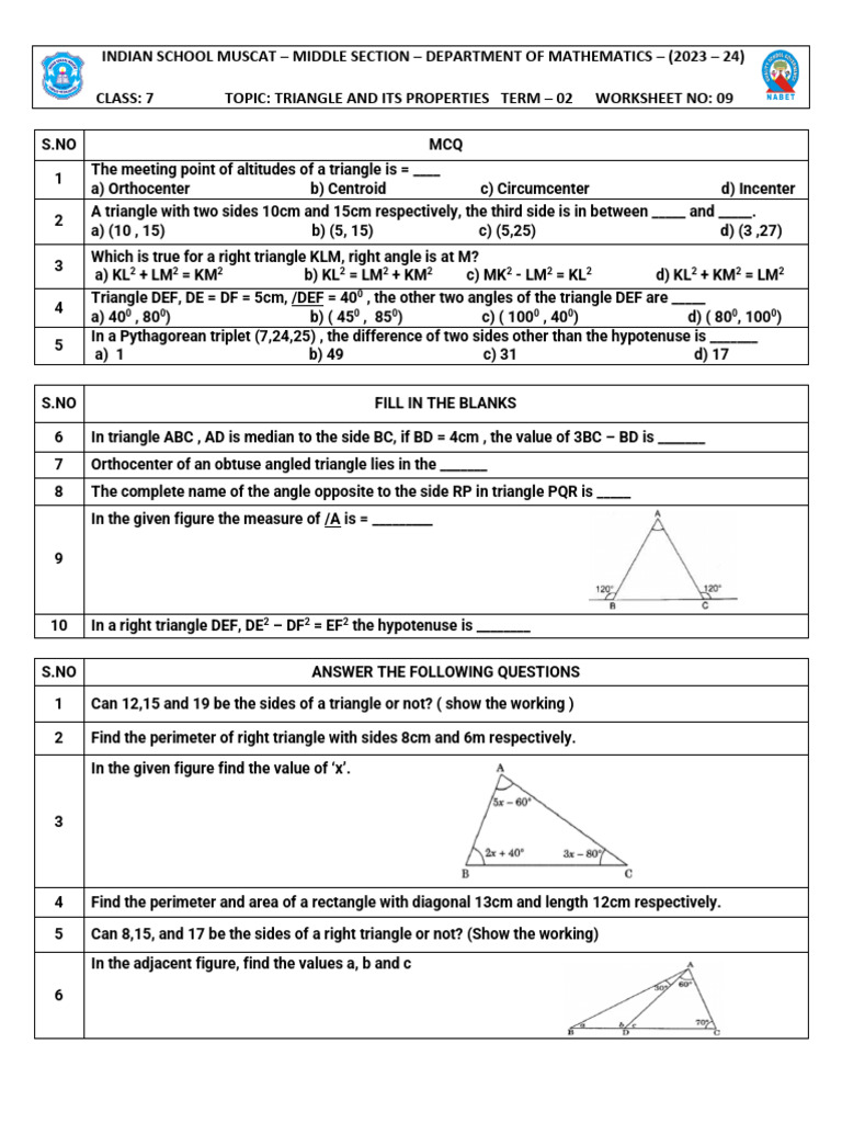 Class 7 Triangle Properties Worksheet | PDF | Triangle | Geometry