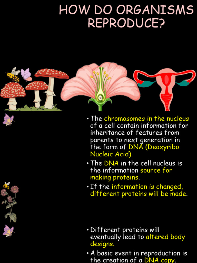 Organism Reproduction and Variation Explained | PDF | Reproduction | Dna