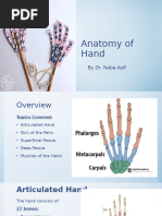 Palmar Hand Anatomy Overview | PDF | Hand | Musculoskeletal System