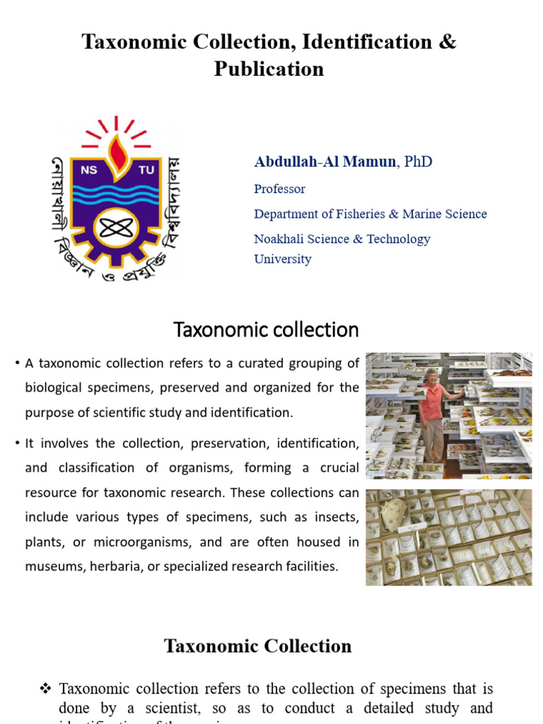 Lec-4 Taxonomic Collection, Identification & Publication | PDF ...