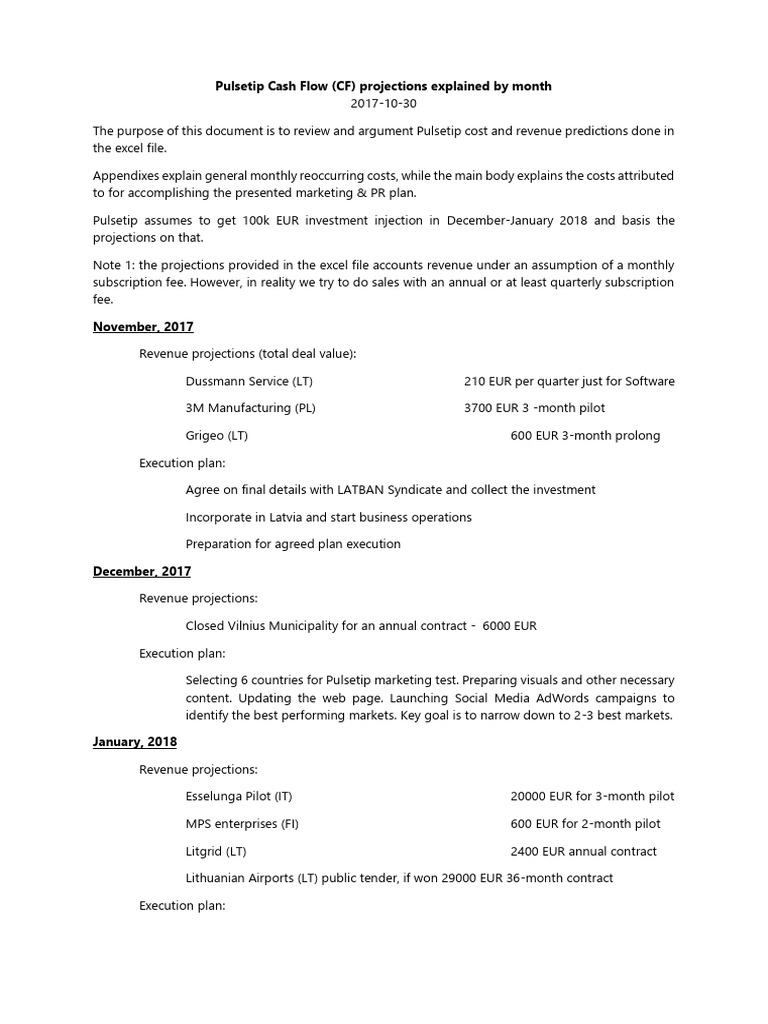 Pulsetip Monthly Cash Flow Projections | PDF | Internet | Return On ...