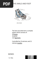 Footand Ankle Anatomy Labeling Lab | PDF | Foot | Ankle
