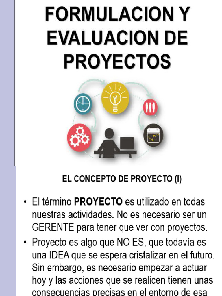 FORMULACION Y EVALUACION DE PROYECTOS No. 2 Okk | PDF