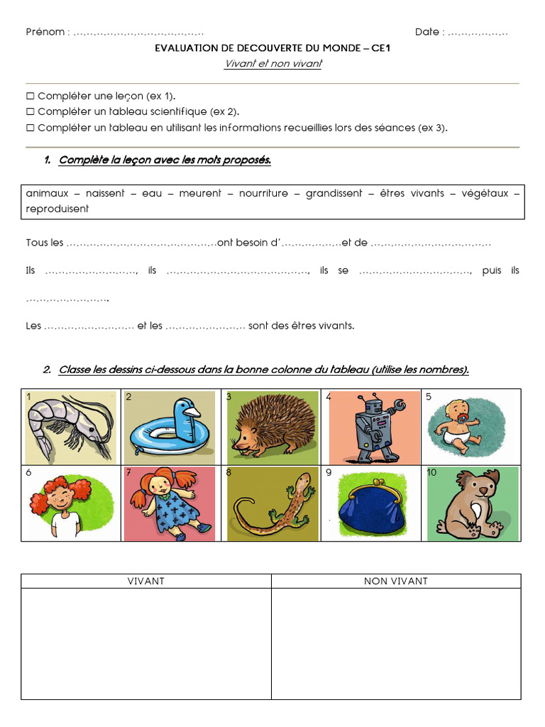 Évaluation Vivant et Non Vivant CE1 | PDF | Zoologie