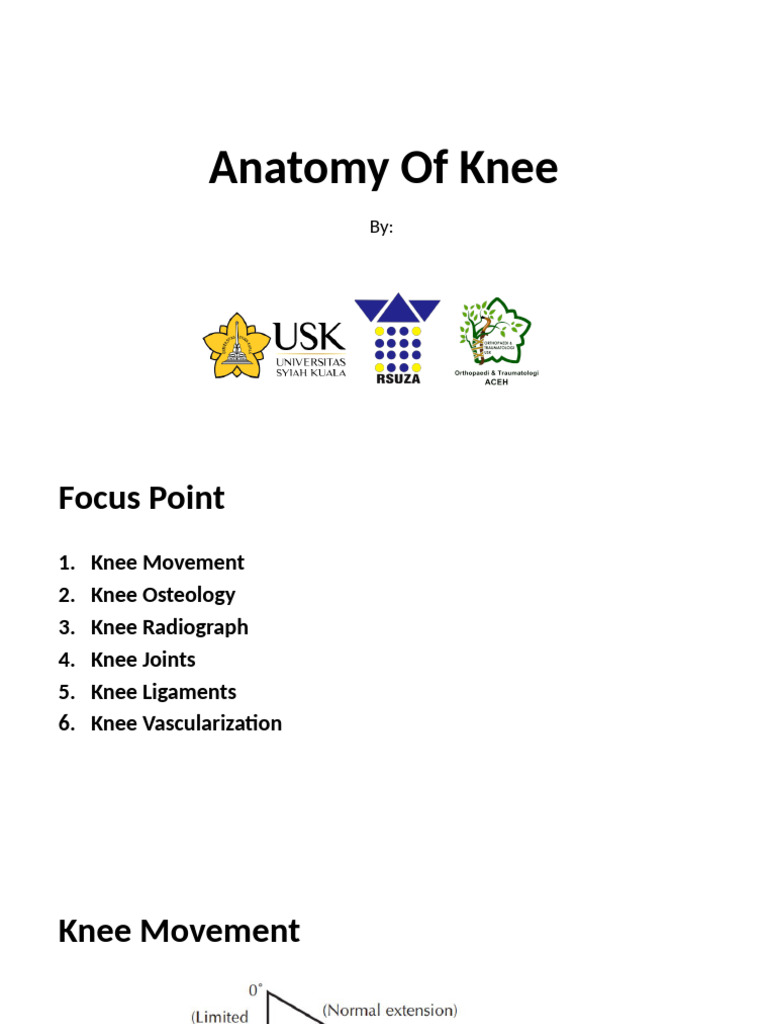 Anatomy of Knee | PDF
