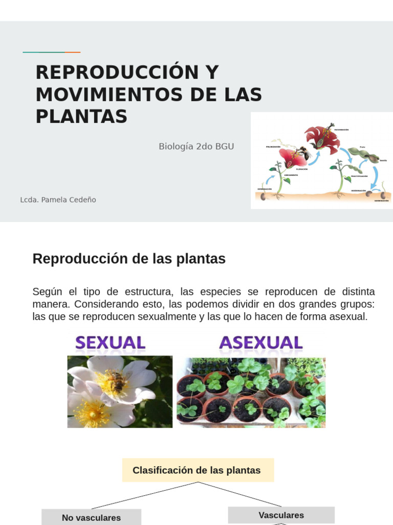 Clase 3. Reproducción y Movimientos de Las Plantas | PDF | Plantas ...