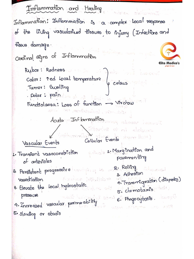 General Pathology Notes | PDF