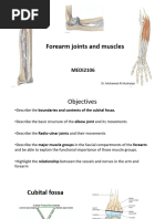 Membrum Superius (Forearm - Hand) | PDF | Thumb | Limbs (Anatomy)