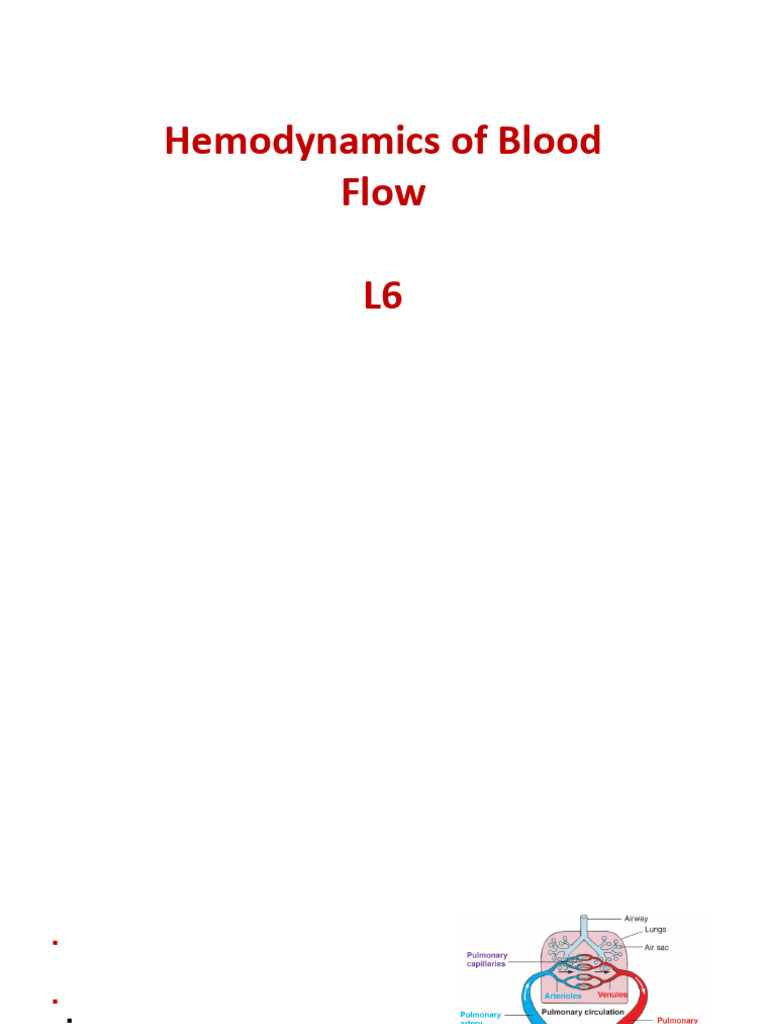 Hemodynamics: Blood Flow and Resistance | PDF | Blood Vessel ...