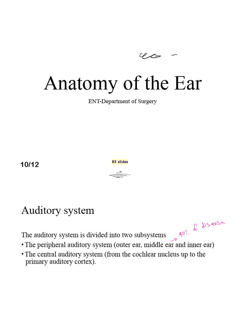 Anatomy of Utricle and Saccule | PDF | Auditory System | Ear