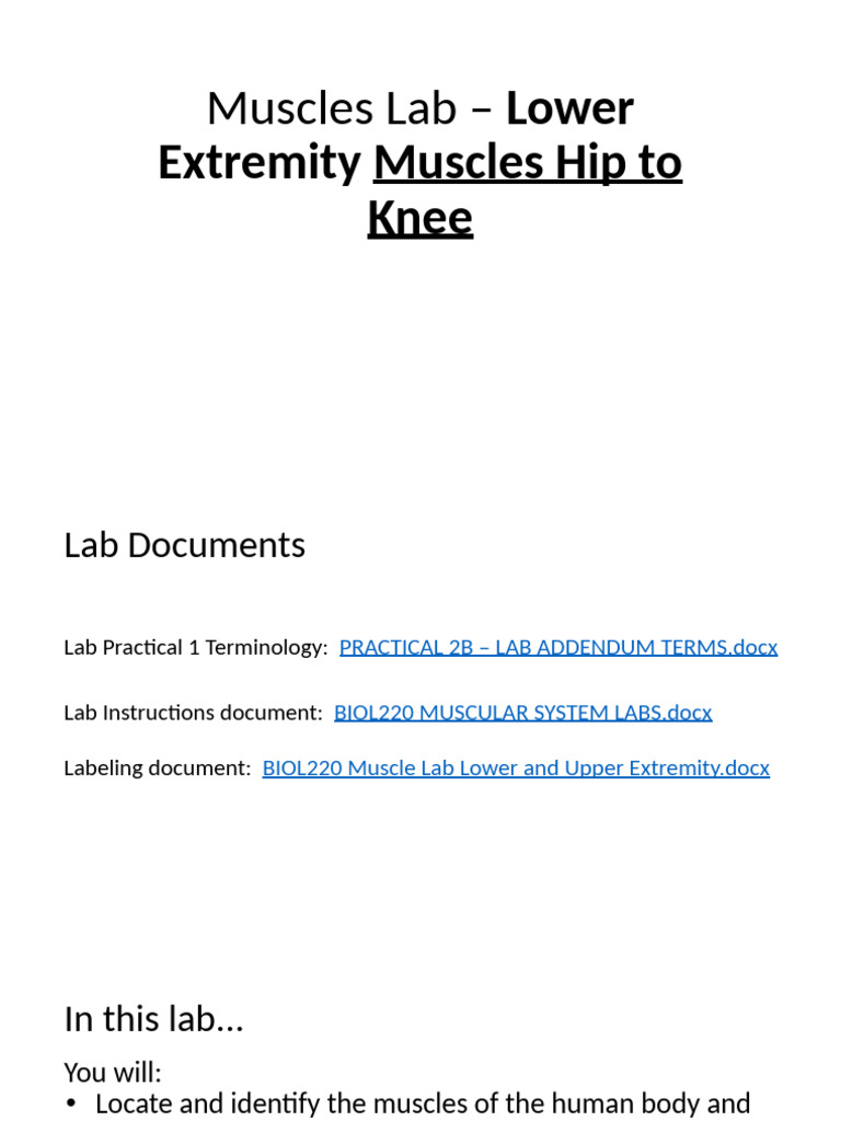 1.BIOL220 Muscle Lab. Lower Extremity 1 | PDF | Knee | Human Leg