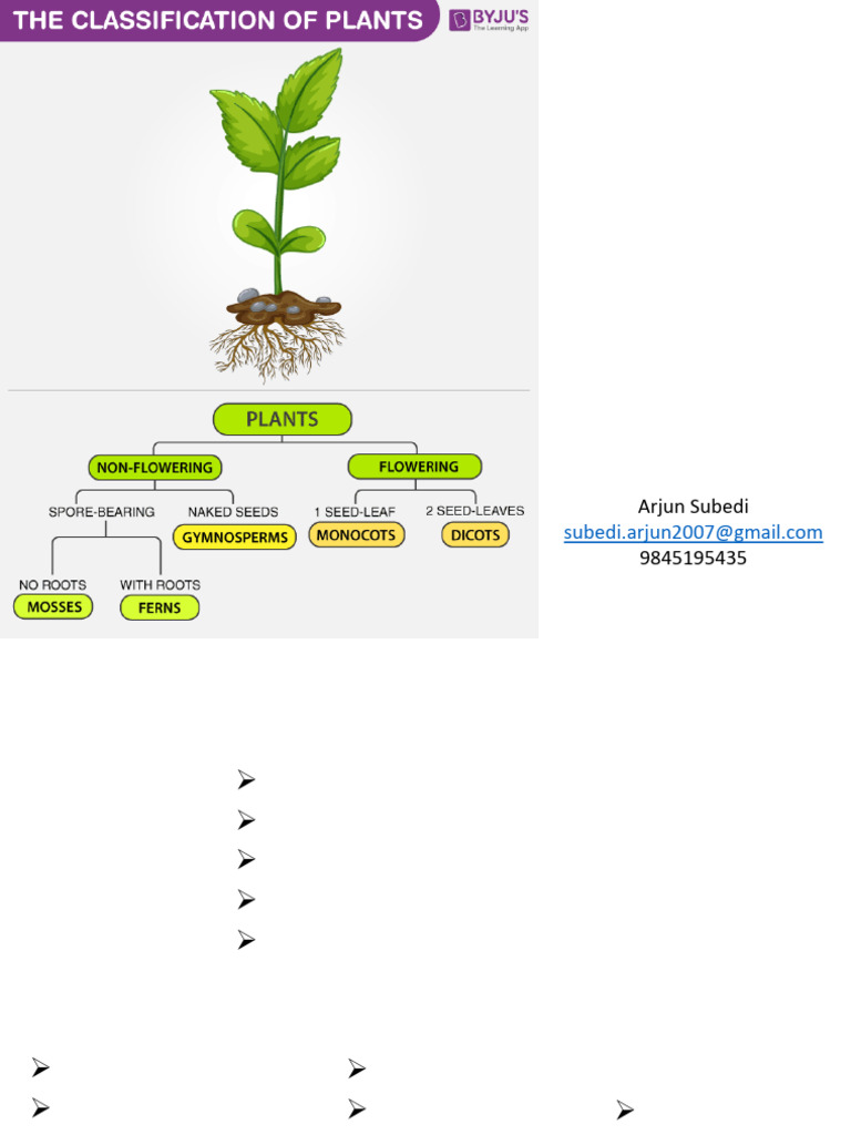 Classification of Ornamentals | PDF | Horticulture | Succulent Plant