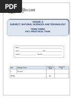 2024 NST Grade 6 Term 3 Practical Task | PDF | Wire | Insulator ...