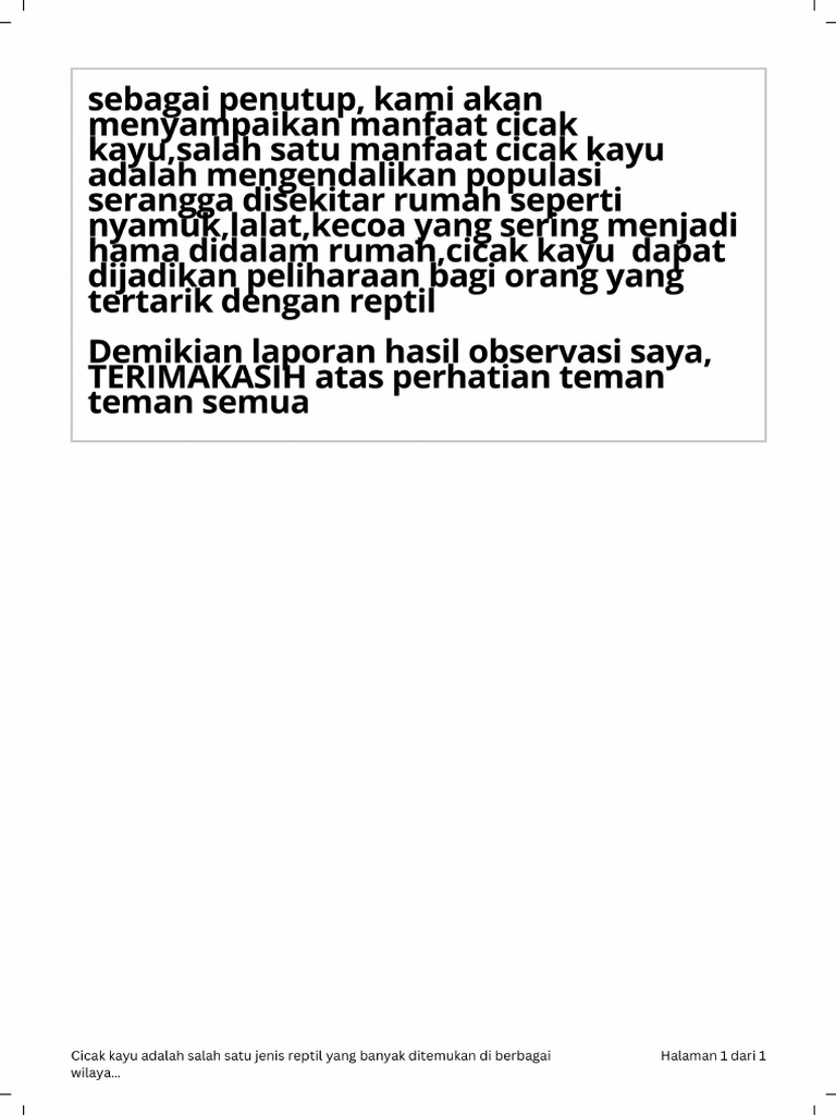 Cicak Kayu Adalah Salah Satu Jenis Reptil Yang Banyak Ditemukan Di ...