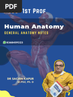 Topographic Anatomy Overview | PDF | Anatomical Terms Of Motion ...