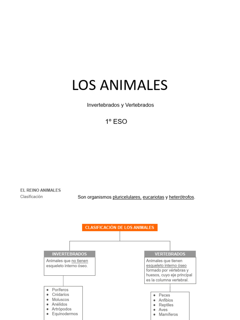 Clasificación de Animales: Invertebrados y Vertebrados | PDF | Anfibio ...