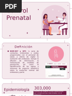 Pronam Primeros 1000 Dias | PDF | El embarazo | Amamantamiento