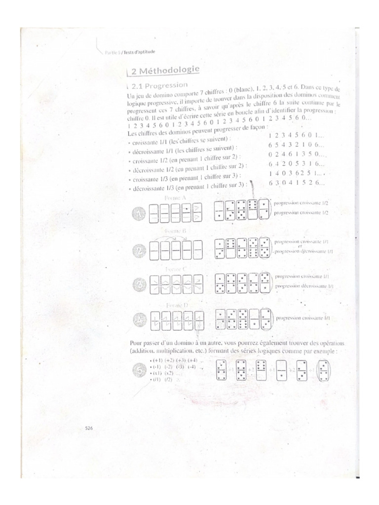 L2 Méthodologie Dominos | PDF