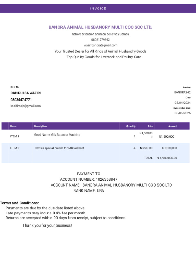 Banora Invoice1 Phoenix | PDF