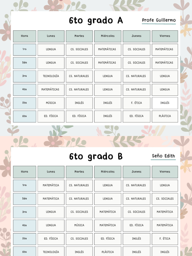 Pink Modern Class Schedule Print Template | PDF