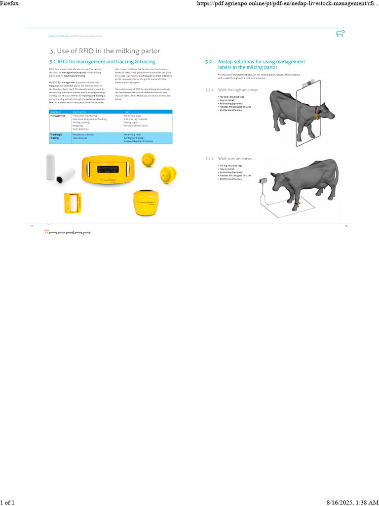 Cow Chip Example | PDF