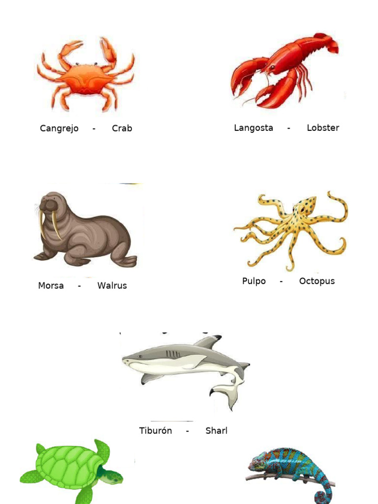 Nombres de Animales en Español e Inglés | PDF
