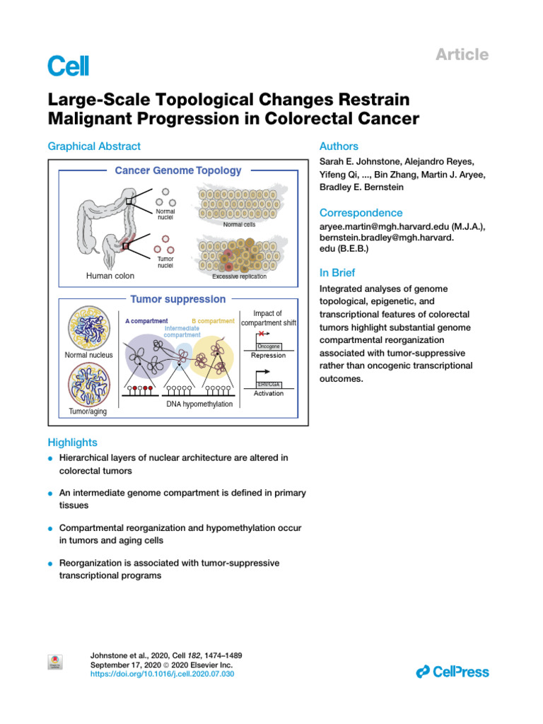 Large-Scale Topological Changes Restrain Malignant Progression in ...
